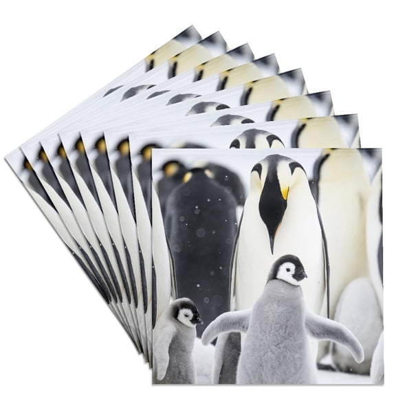 3drose, Snow Hill Island, Antarctica. Juvenile Emperor Penguin ...