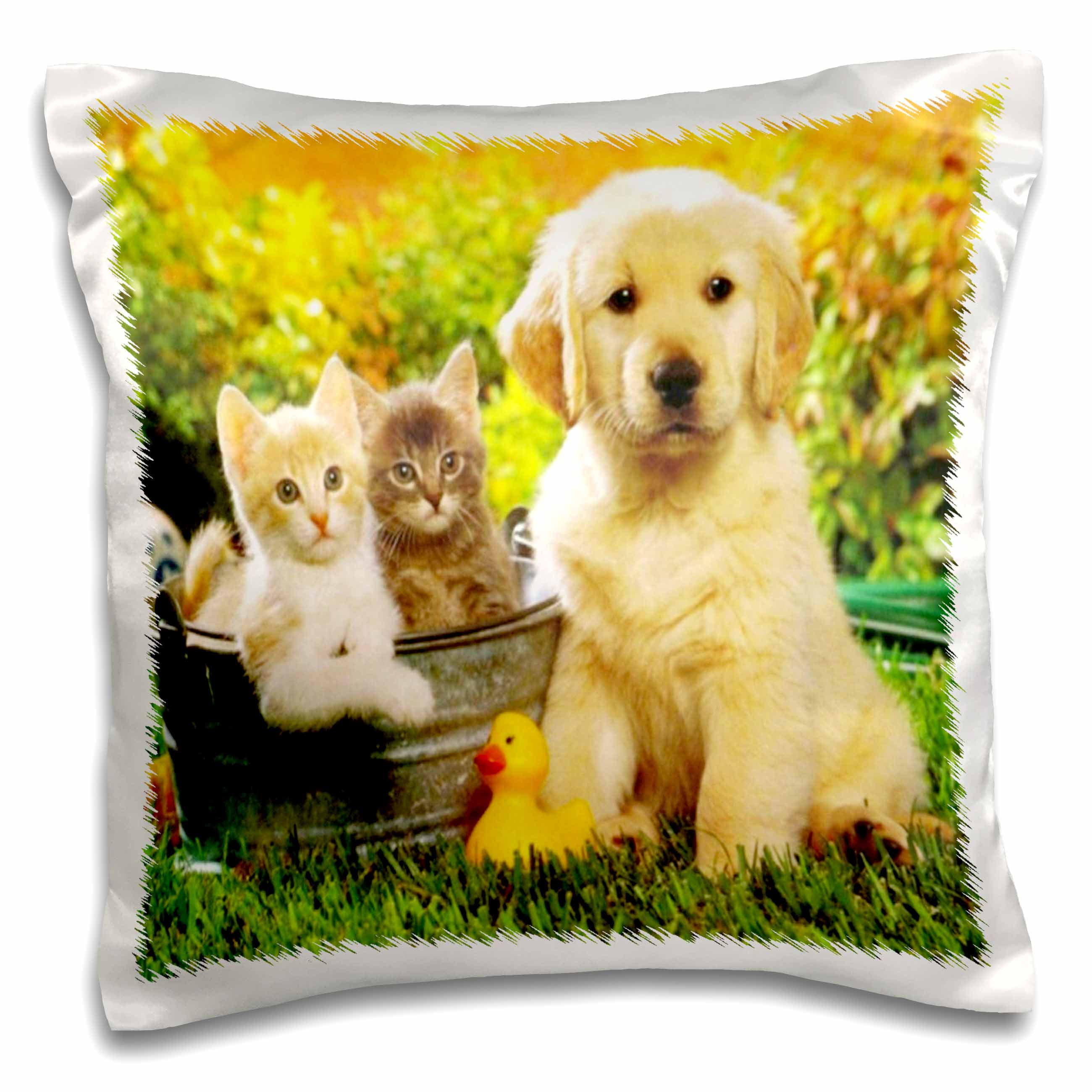 3drose, So Cute Lab Puppy N Kittens, 16x16 inch Pillow Case - Walmart.com