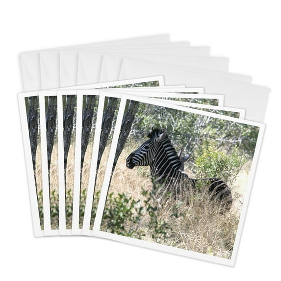 3drose, South African Zebra in the Grass, 6 Greeting Cards with ...