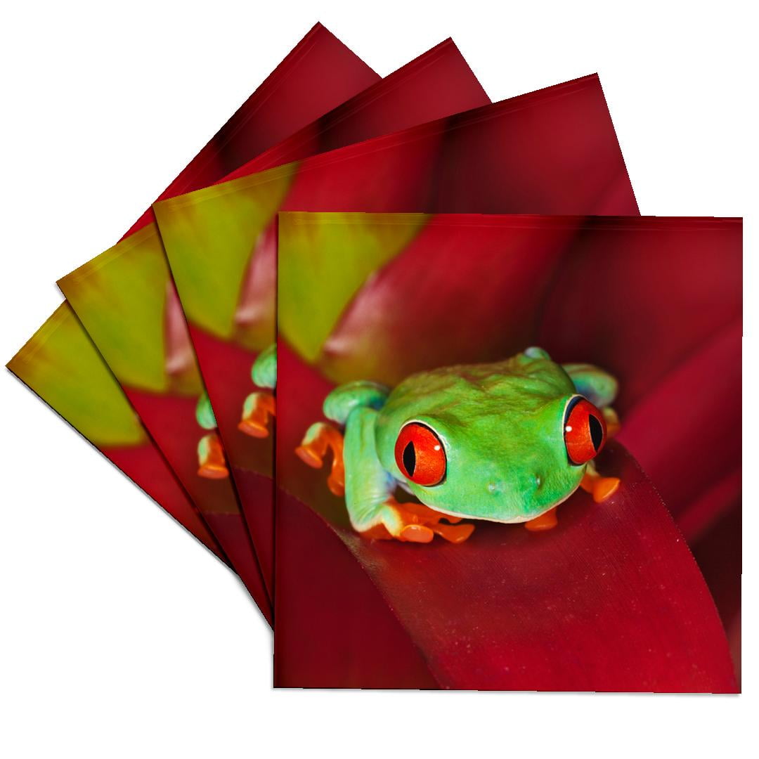 3drose, South America, Panama. Red Eyed Tree Frog., Set of 4 Ceramic ...