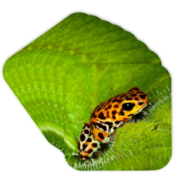 3drose, South America, Panama. Yellow Form of Poison Dart Frog on Spiny ...