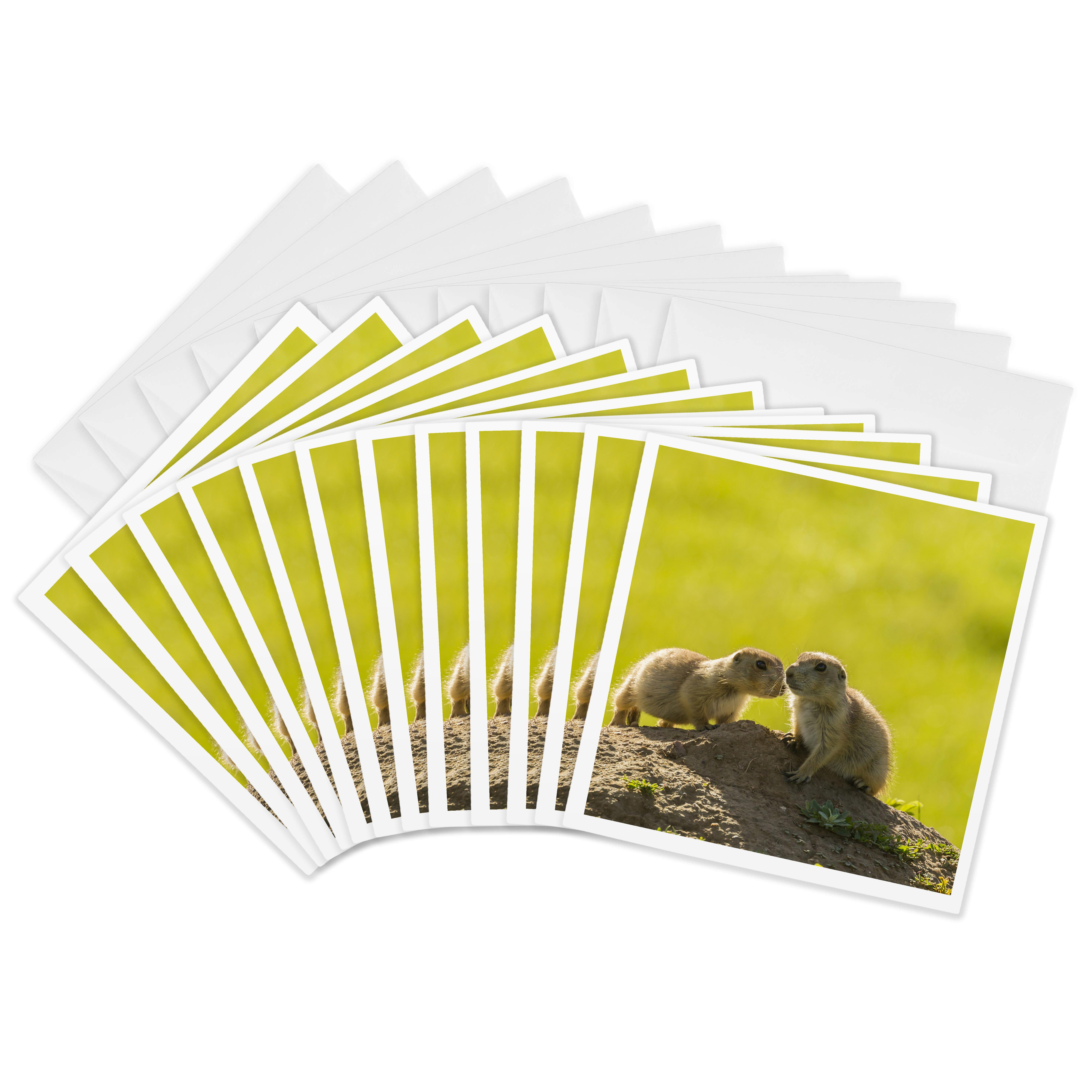 3drose, South Dakota, Custer State Park. Young Prairie Dogs at Den., 12 ...