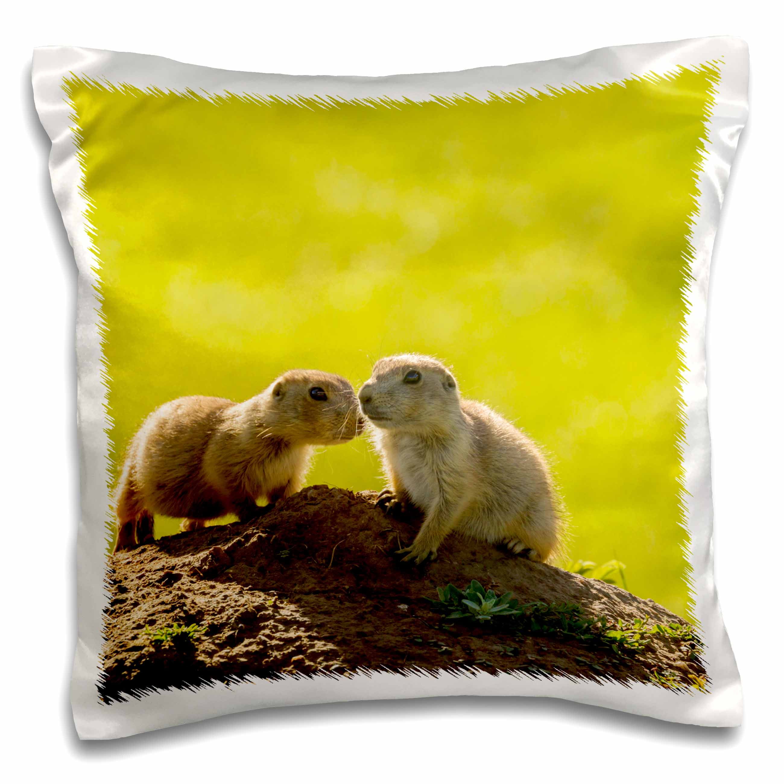 3drose, South Dakota, Custer State Park. Young Prairie Dogs at Den ...