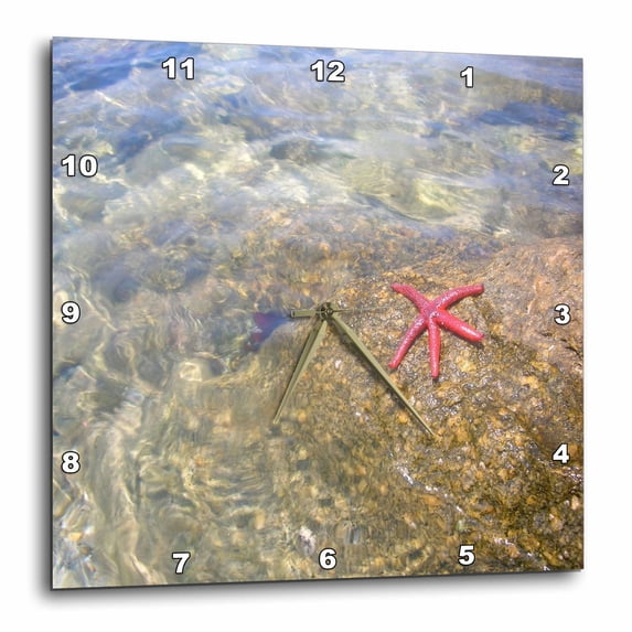 3drose, Starfish in Hydra, 10x10 Wall Clock - Walmart.com