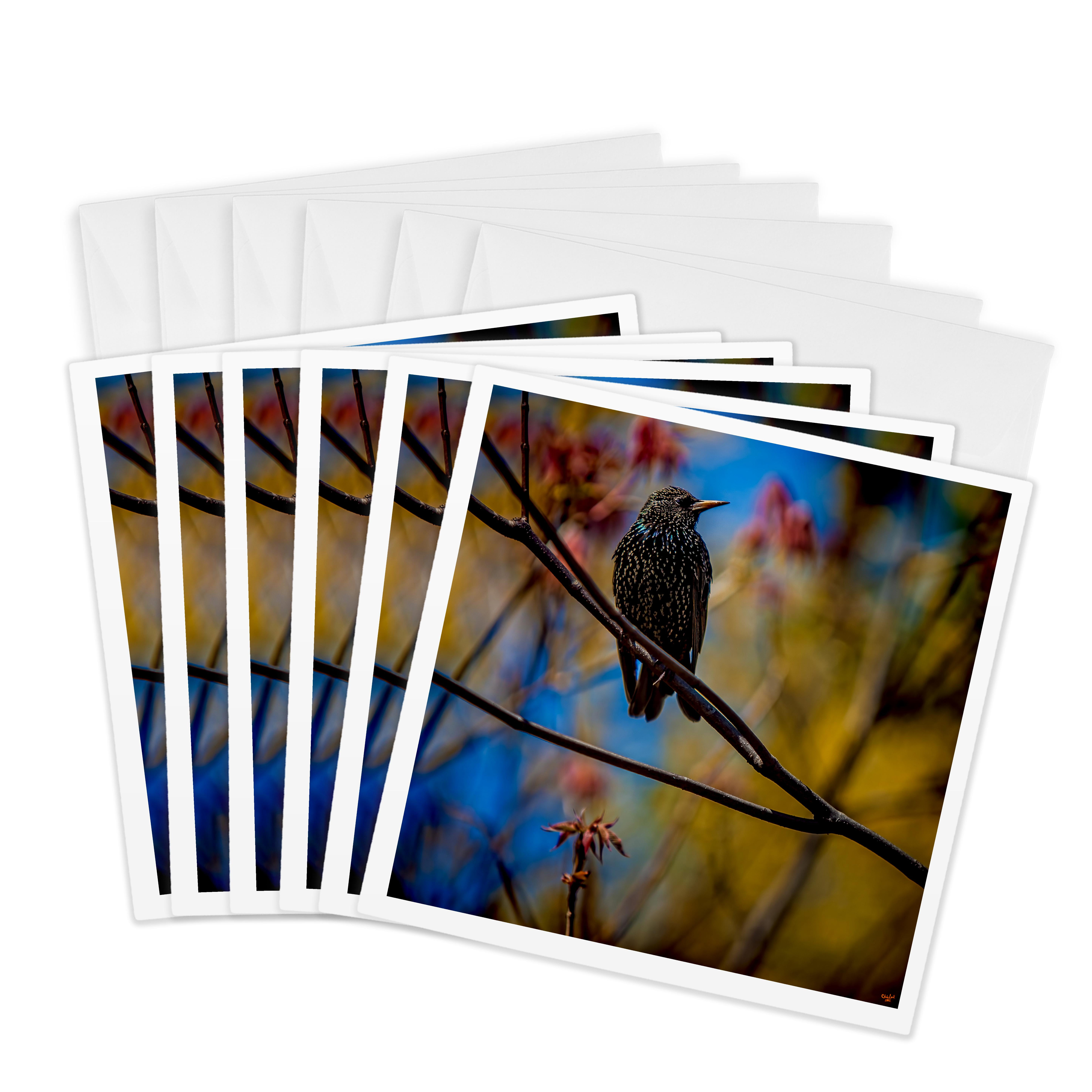 3drose, Starling Bird Perch Tree, 6 Greeting Cards with Envelopes ...