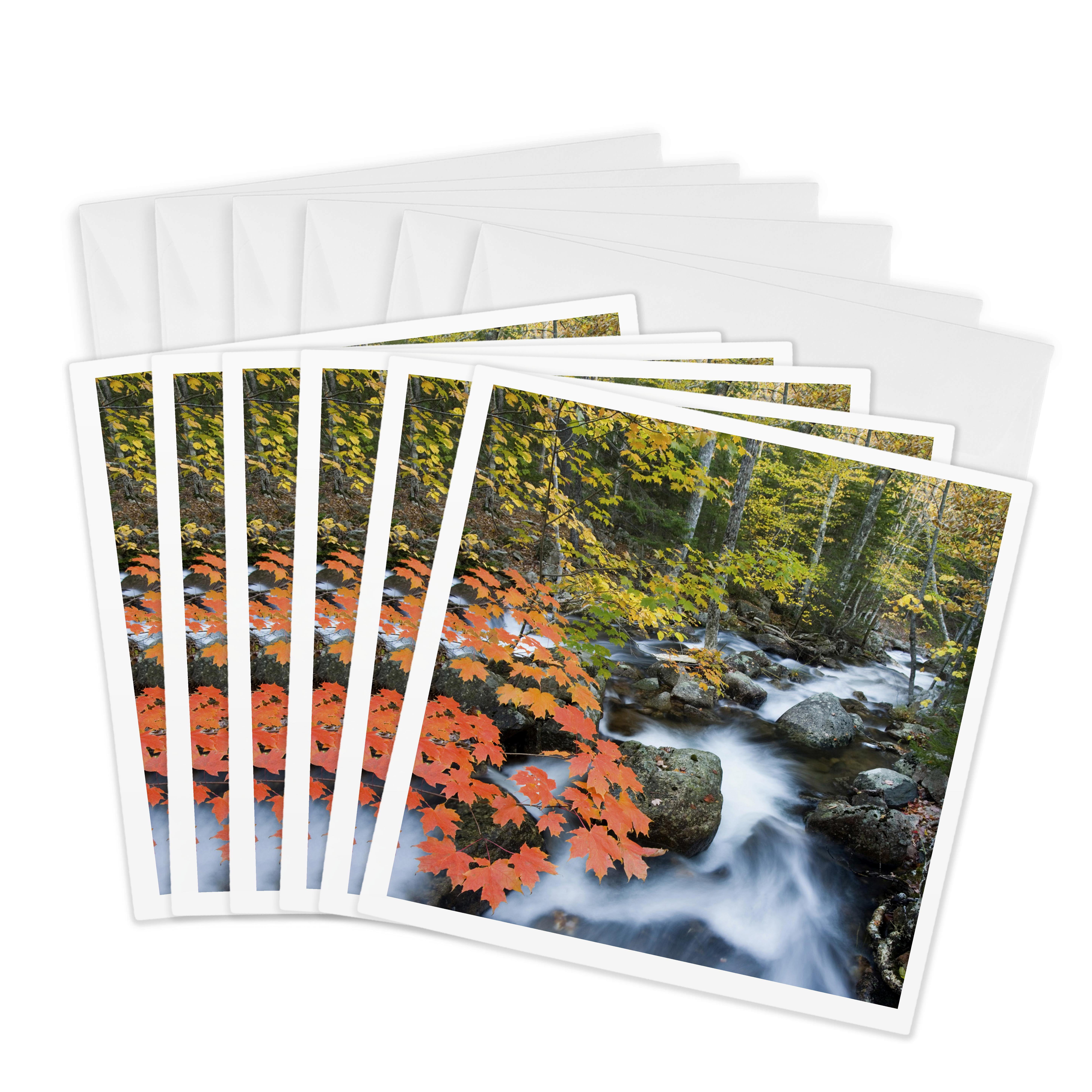 3drose, Stream, Acadia National Park, Maple Forest - Us20 Jmo0620 ...