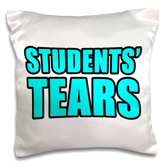 3drose, Students Tears Aqua, 16x16 inch Pillow Case - Walmart.com