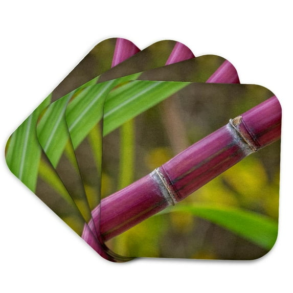 3drose, Sugar Cane, Set of 4 Coasters - Soft - Walmart.com