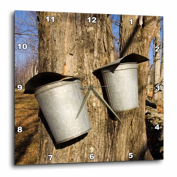 3drose, Sugar Maple Trees in Lyme, New Hampshire - Us30 Jmo1582 - Jerry ...