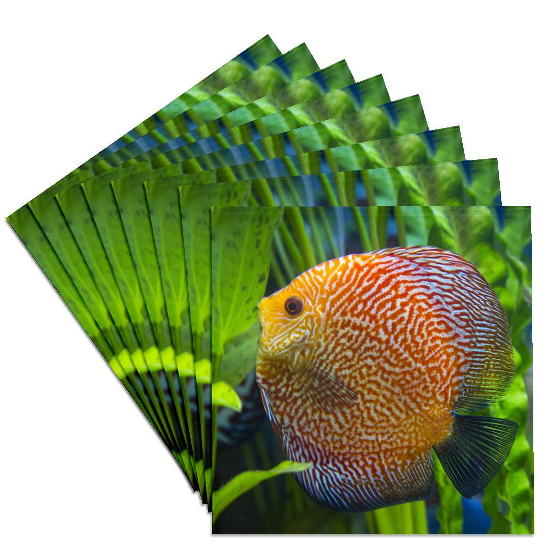 3drose, Super Pigeon Snakeskin Discus, Tropical Freshwater Fish ., Set ...