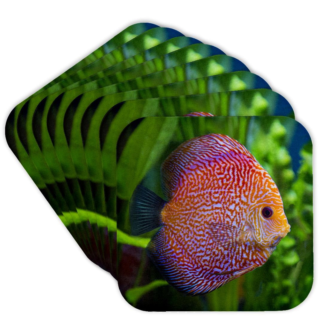 3drose, Super Pigeon Snakeskin Discus, Tropical Freshwater Fish., Set ...
