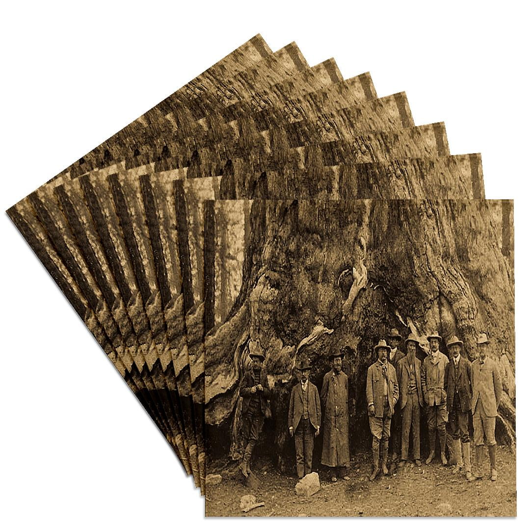 3drose, Teddy Roosevelt and John Muir Beneath a Redwood Tree Sepia, Set ...