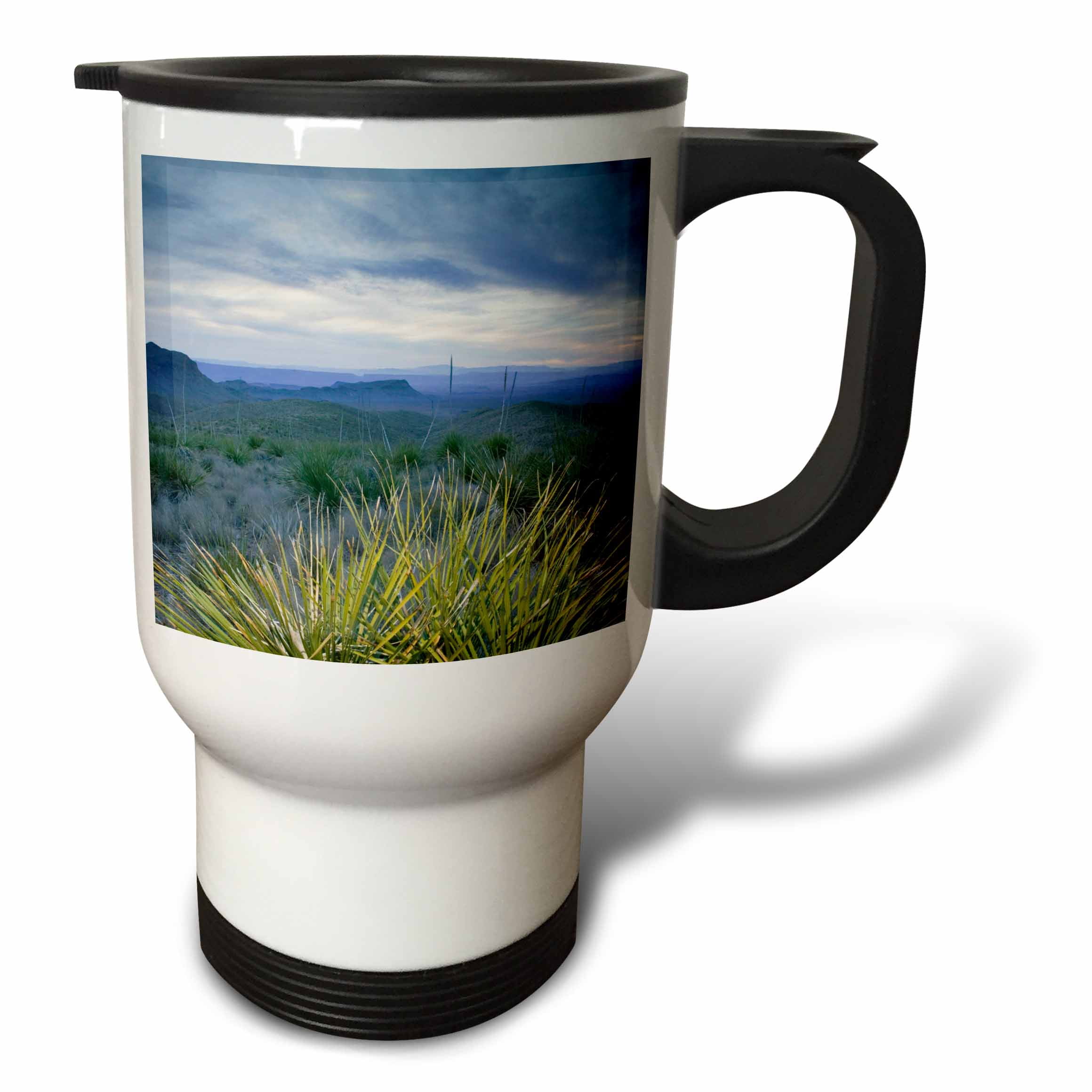 3drose, Texas, Big Bend Np, Sotol Plants, Sotol Vista - Us44 Wbi0172 ...