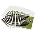 3drose, Texas, Rio Grande, Gold-fronted Woodpecker Bird - Us44 Bja0100 ...