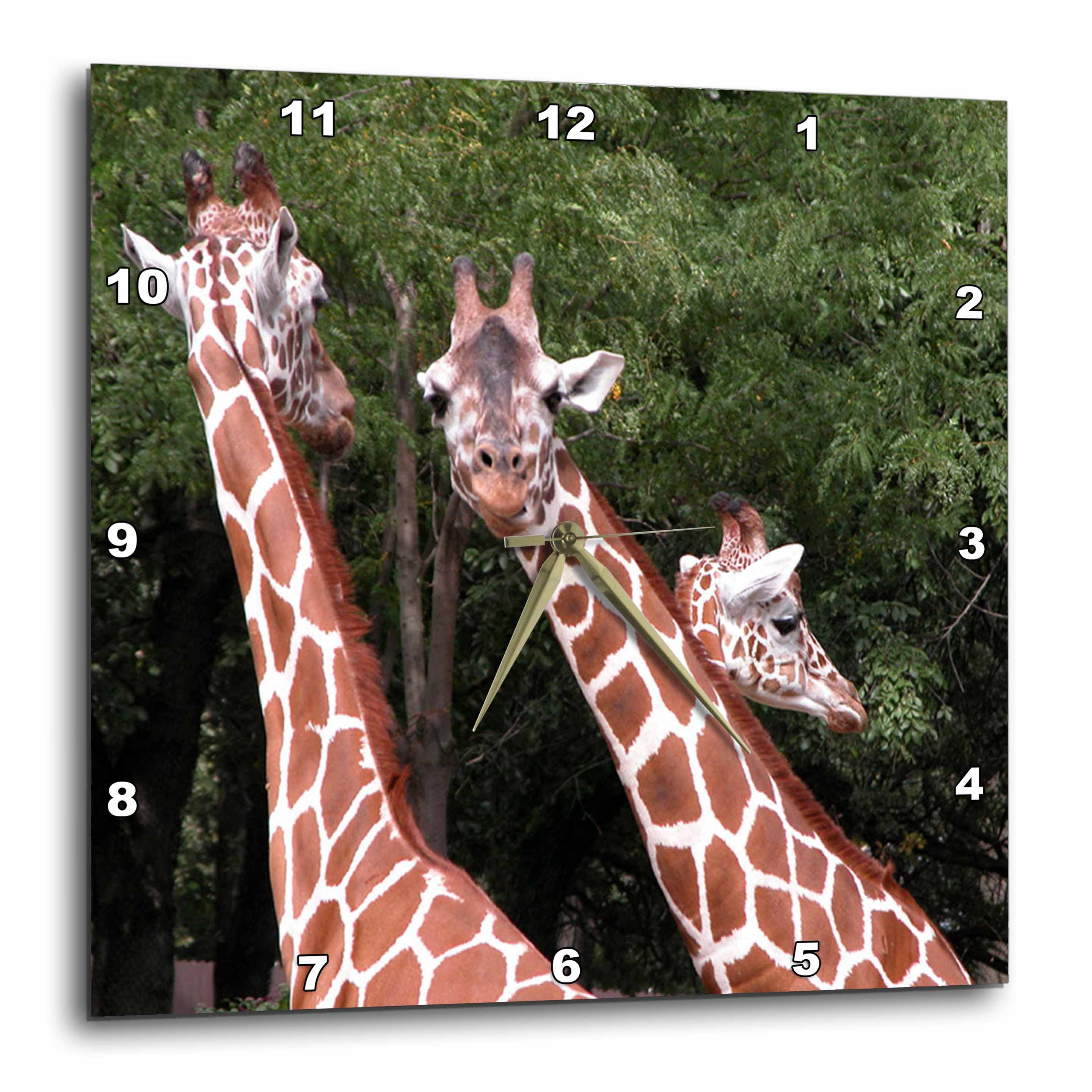 3drose, Three Giraffes, 15x15 Wall Clock - Walmart.com