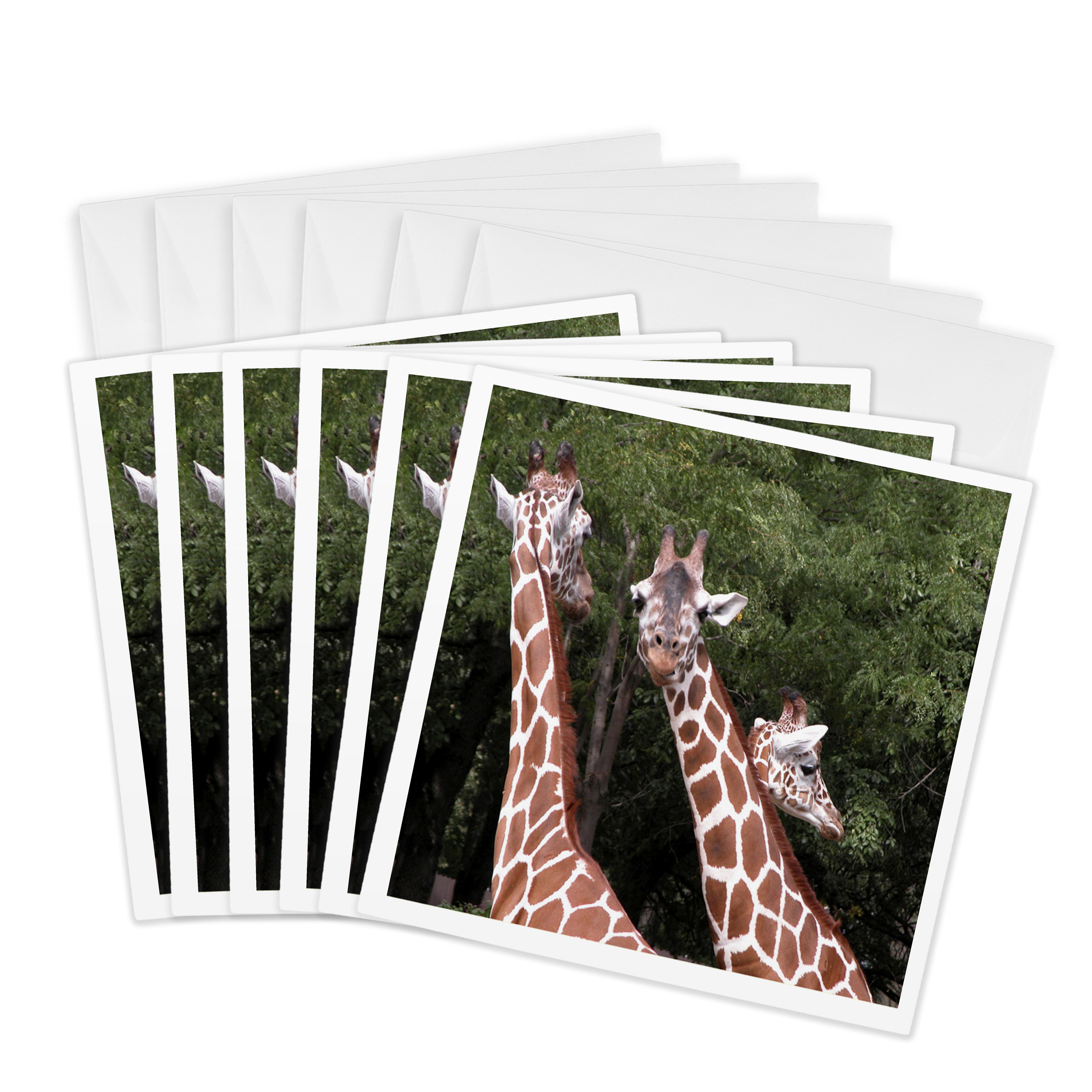 3drose, Three Giraffes, 6 Greeting Cards with Envelopes - Walmart.com