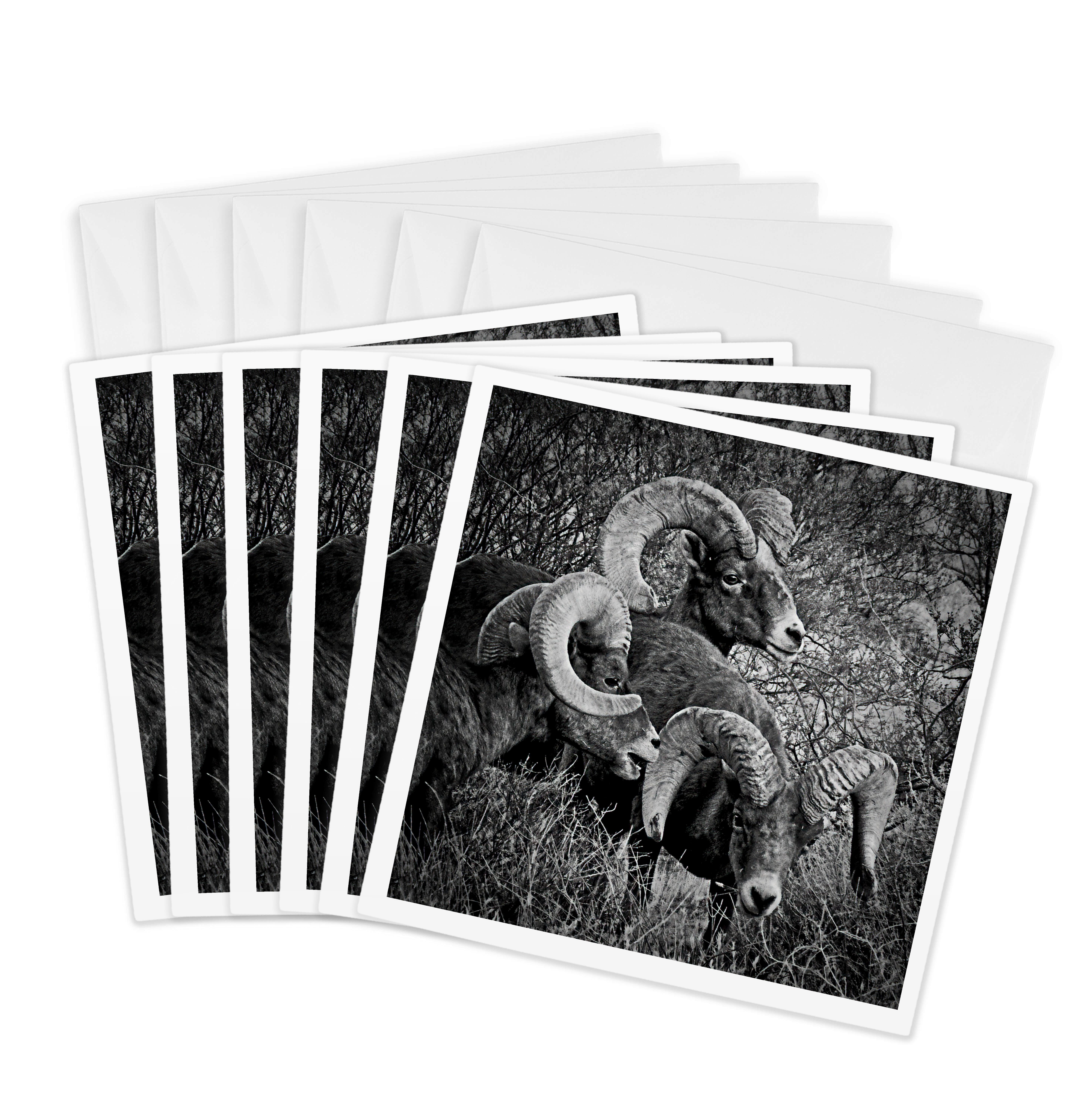3drose, Three Mountain Goats, 6 Greeting Cards with Envelopes - Walmart.com