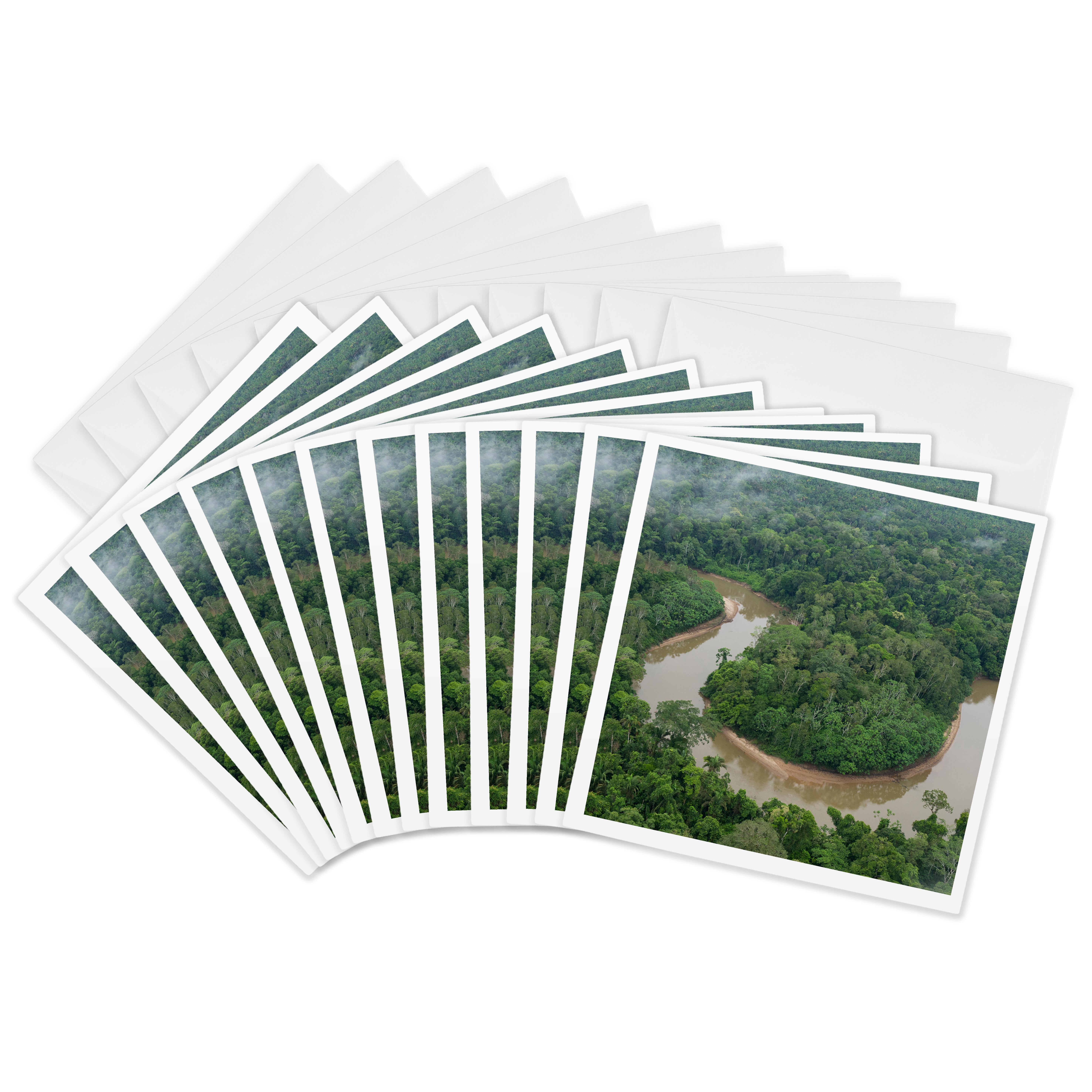 3drose, Tiputini River and Rainforest, Yasuni, Amazon Rainforest ...