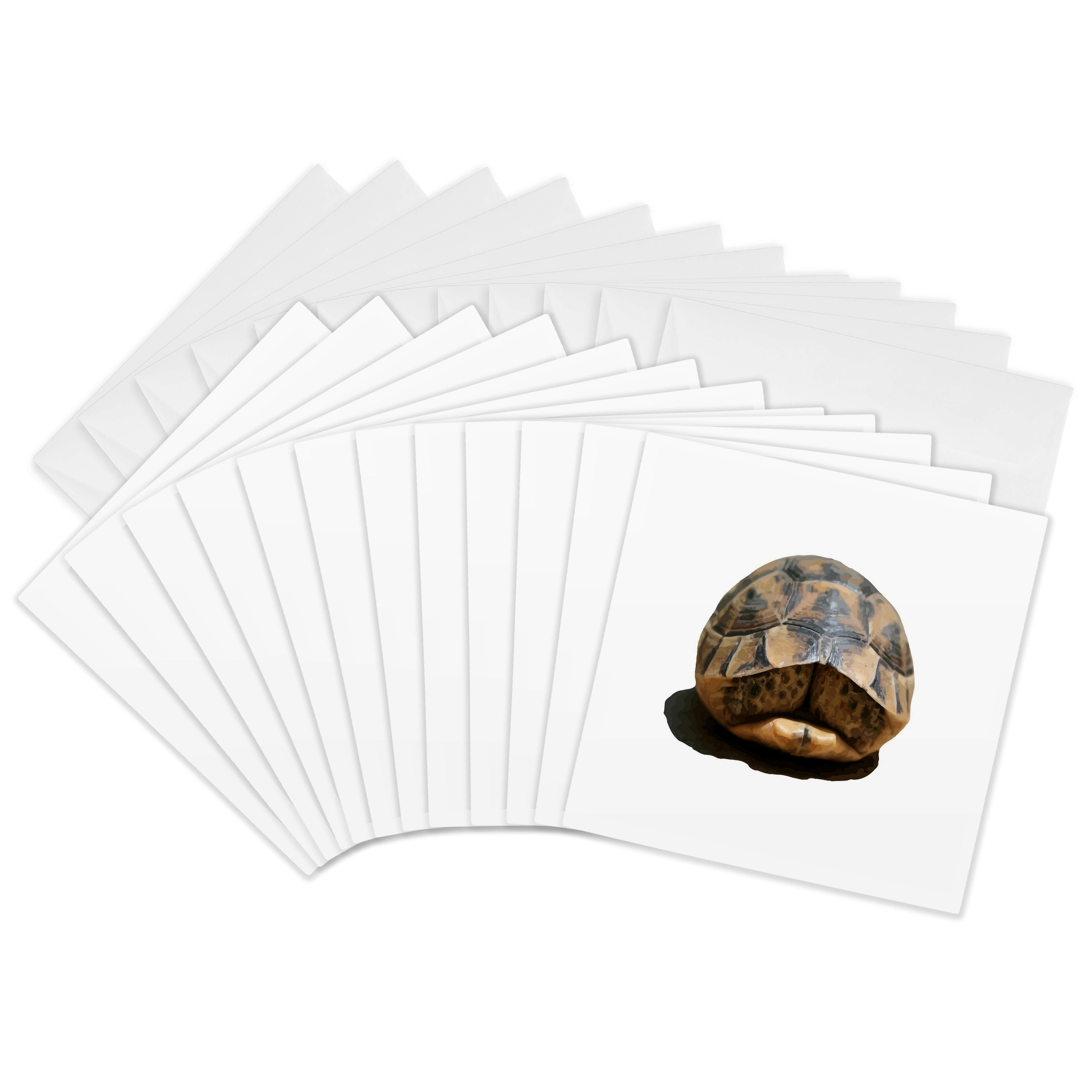 3drose, Tortoise Tucked in Vector Art Cut, 12 Greeting Cards with ...