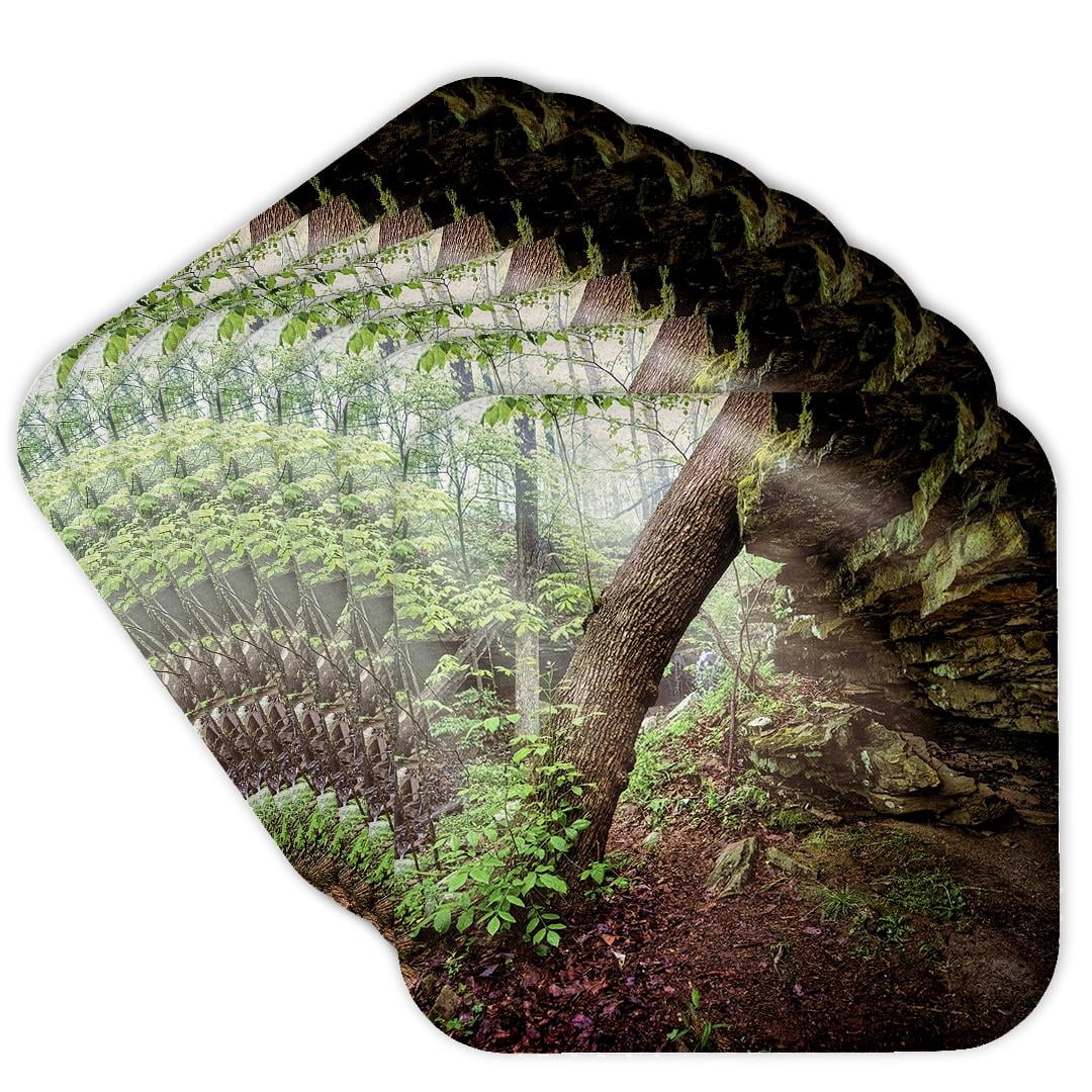 3drose, Tree and Overhang in Monte Sano State Park, Set of 8 Coasters ...