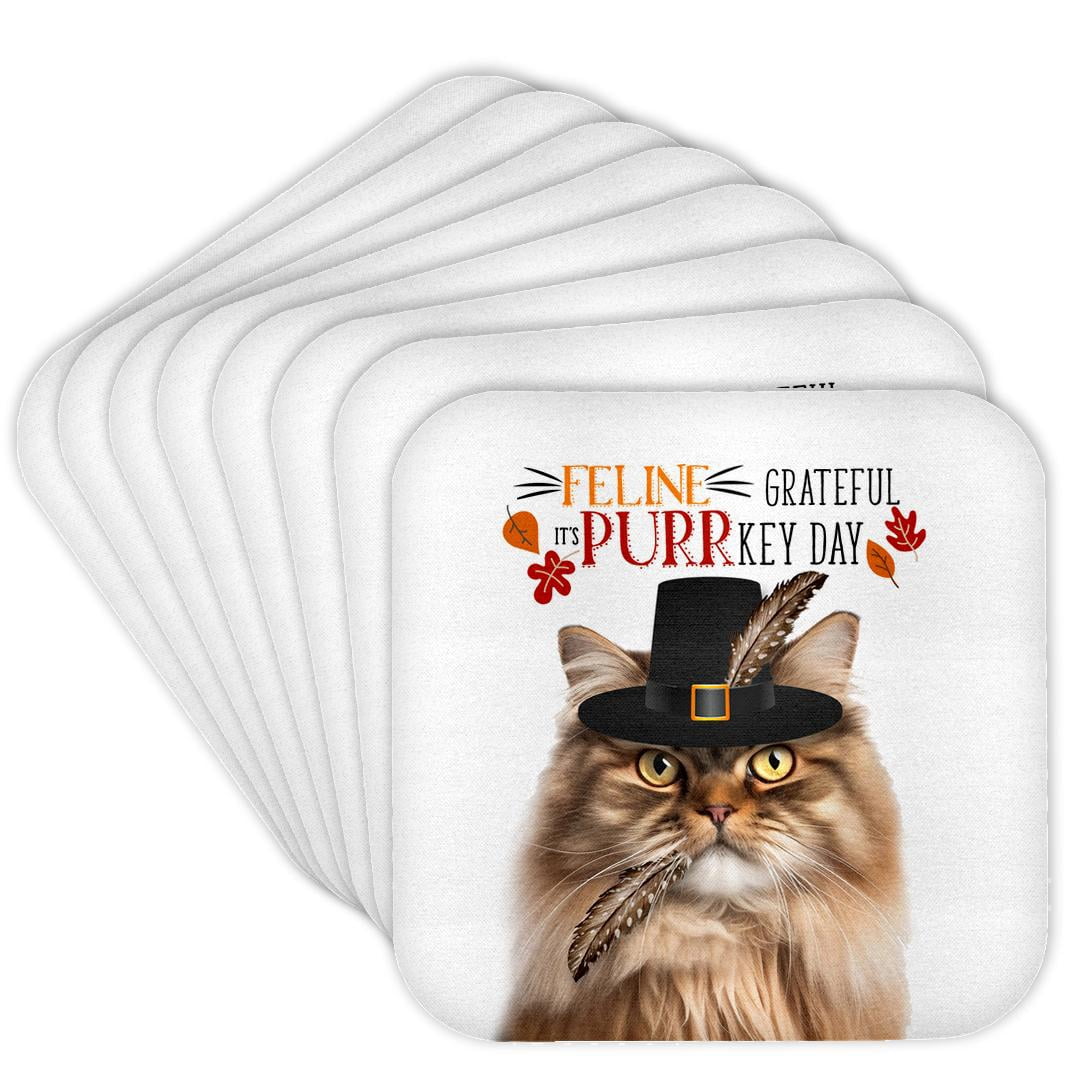 3drose, Tri Colored Persian Cat Is Feline Grateful for Thanksgiving ...