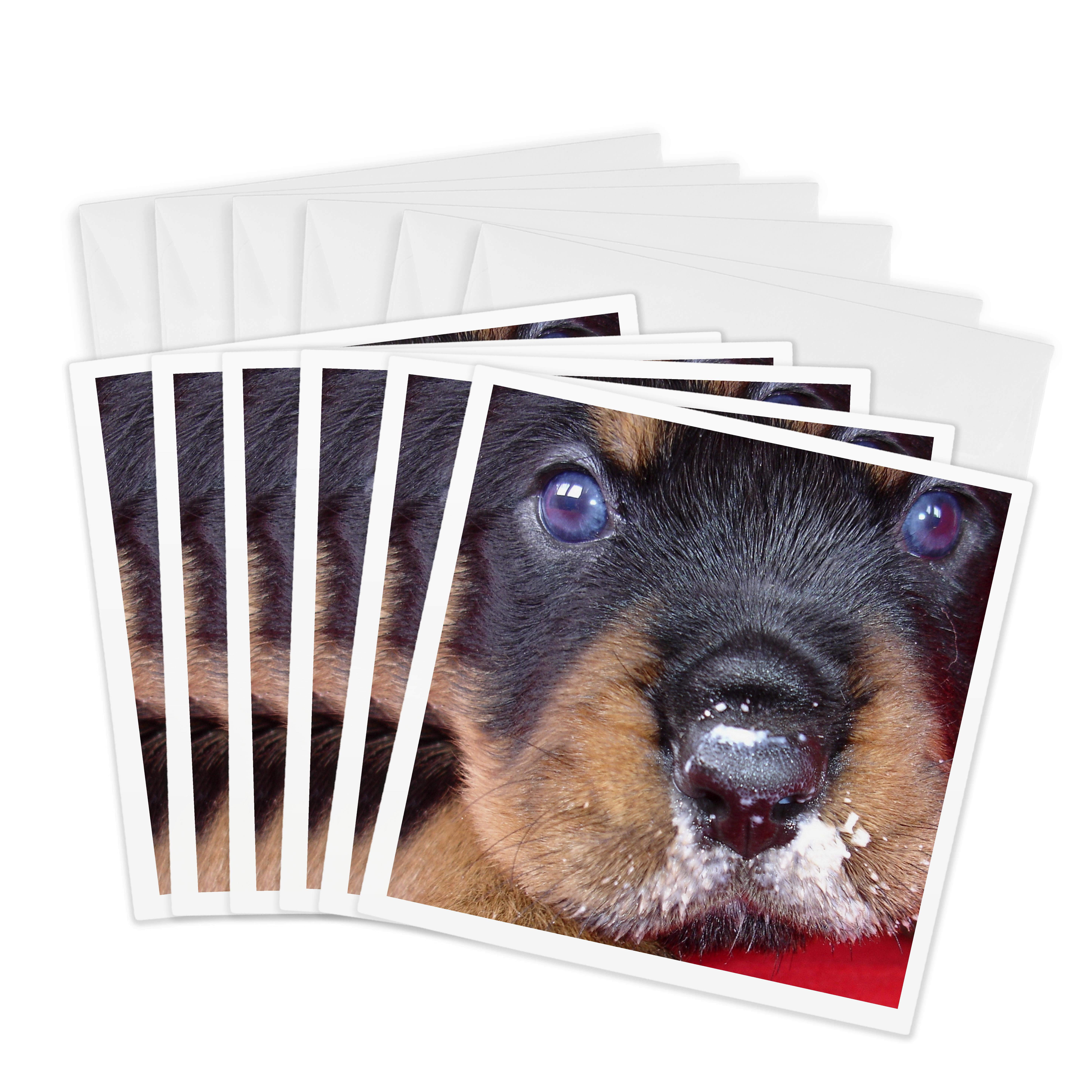 3drose, Trouble Ahead - Rottweiler, Rottweilers, Rottie, Rottie Owner ...