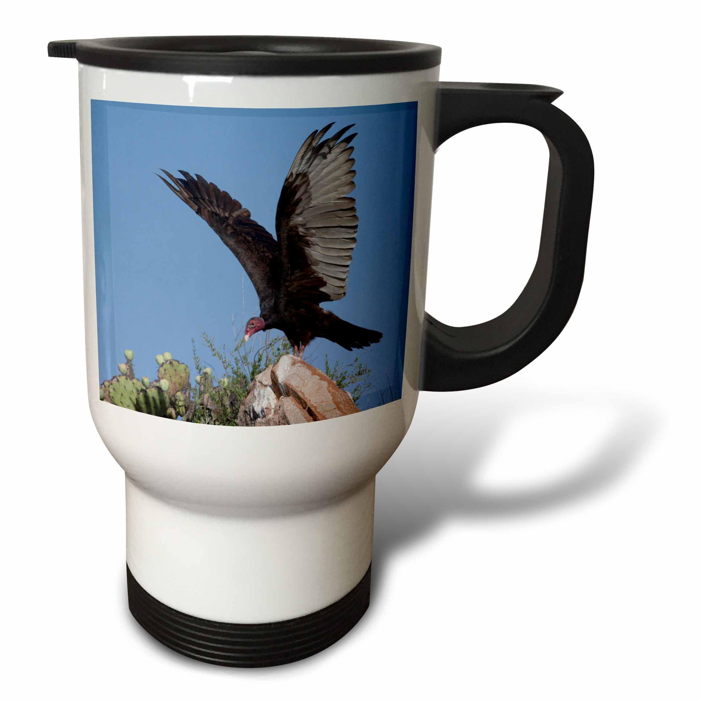 3drose, Turkey Vulture Bird Spreading Wings to Warm - Us44 Ldi0719 ...