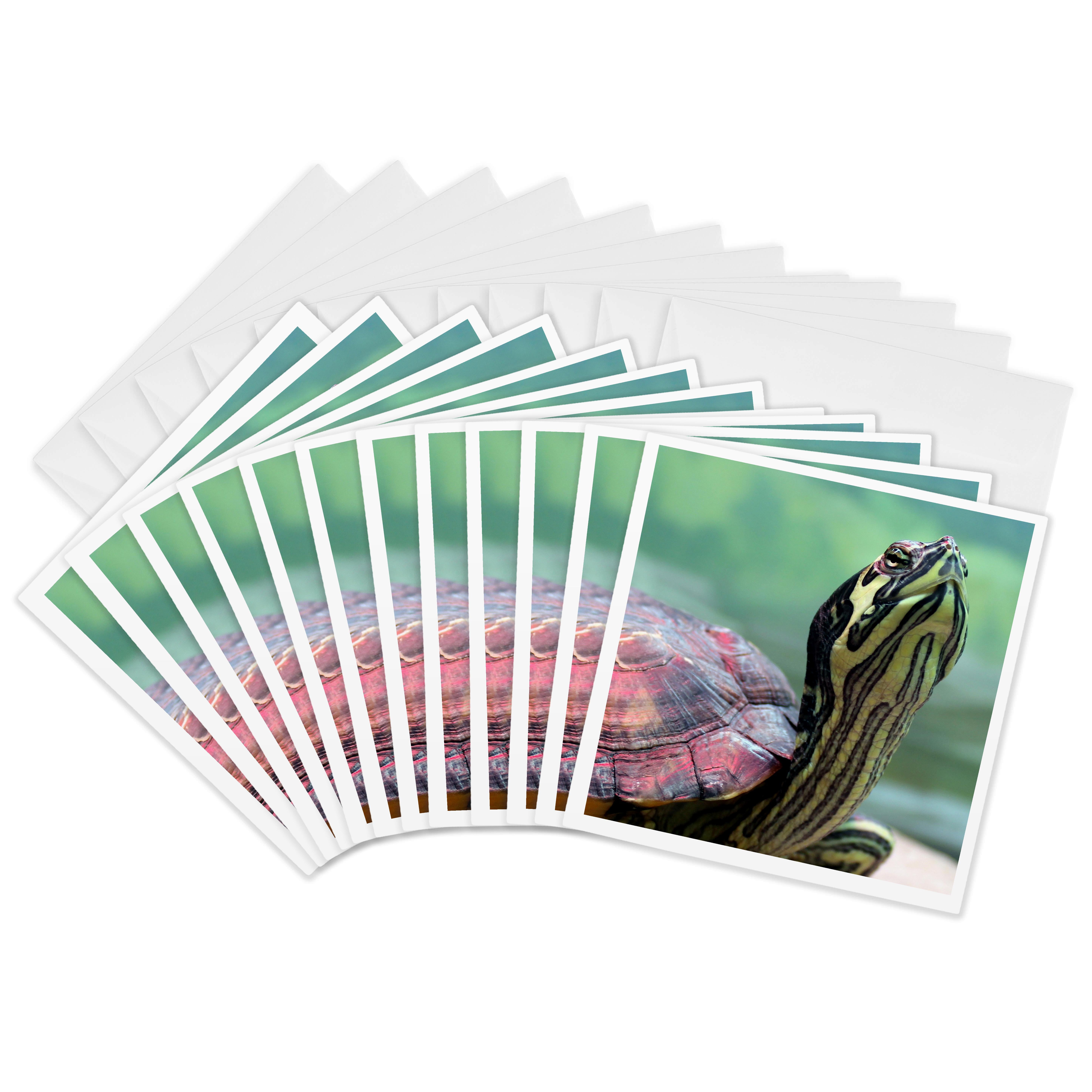 3drose, Turtle, 12 Greeting Cards with Envelopes - Walmart.com