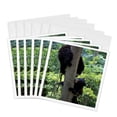 3drose, Two Bears in Tree Playing, 6 Greeting Cards with Envelopes ...