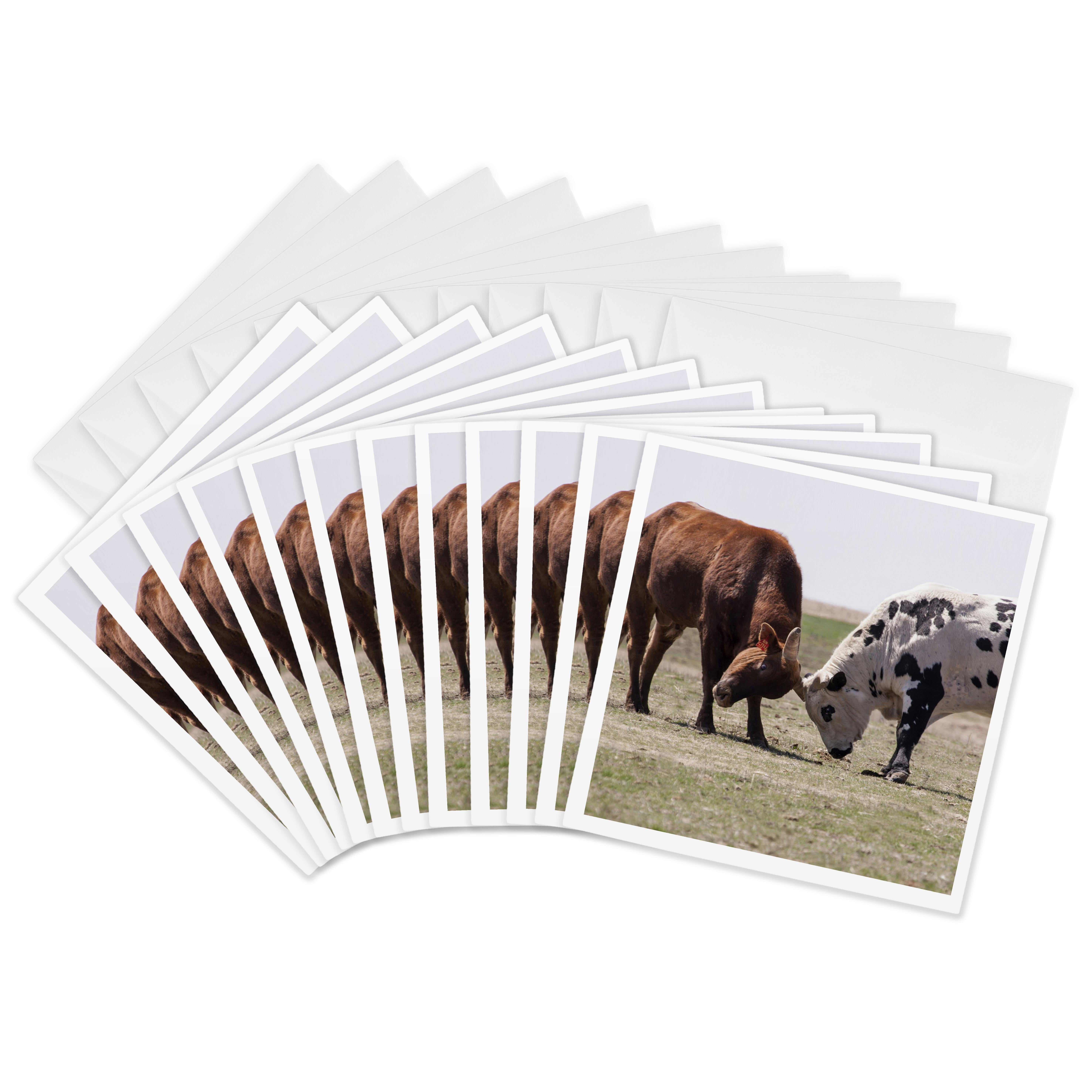 3drose, Two Brahma Bull Cows Bumping Heads - Na02 Pwo0004 - Piperanne ...