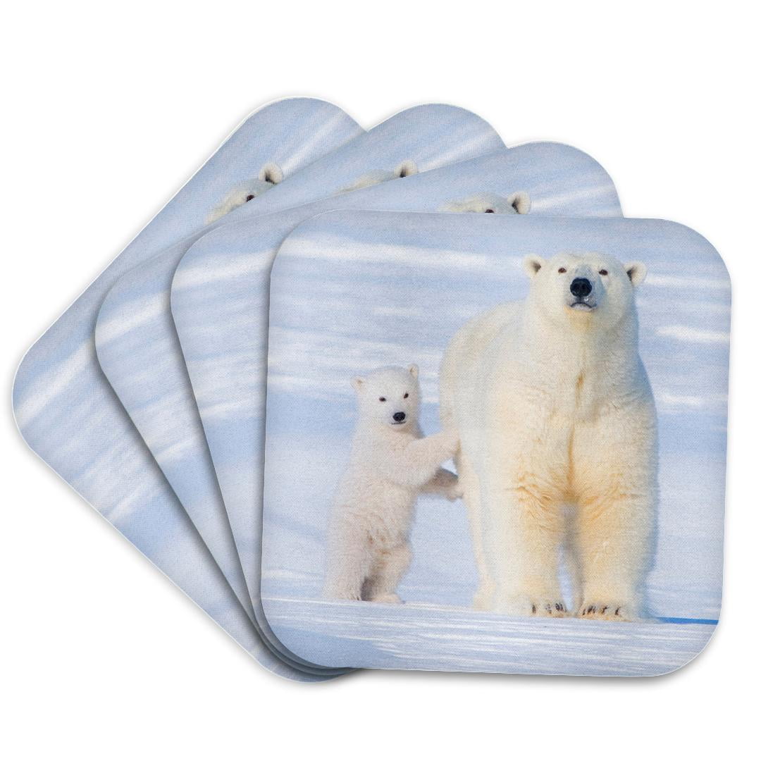 3drose, Usa, Alaska, Arctic Nwr. Polar Bear Sow with Her Cub Outside ...