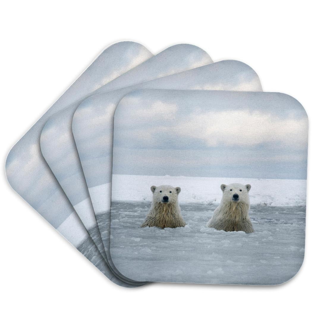 3drose, Usa, Alaska, Artic Nwr, Polar Bear Cubs in Slushy Waters., Set ...