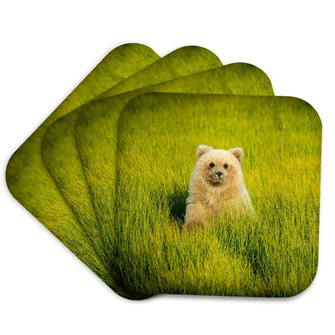 3drose, Usa, Alaska. Grizzly Bear Cub, Set of 4 Coasters - Cork ...