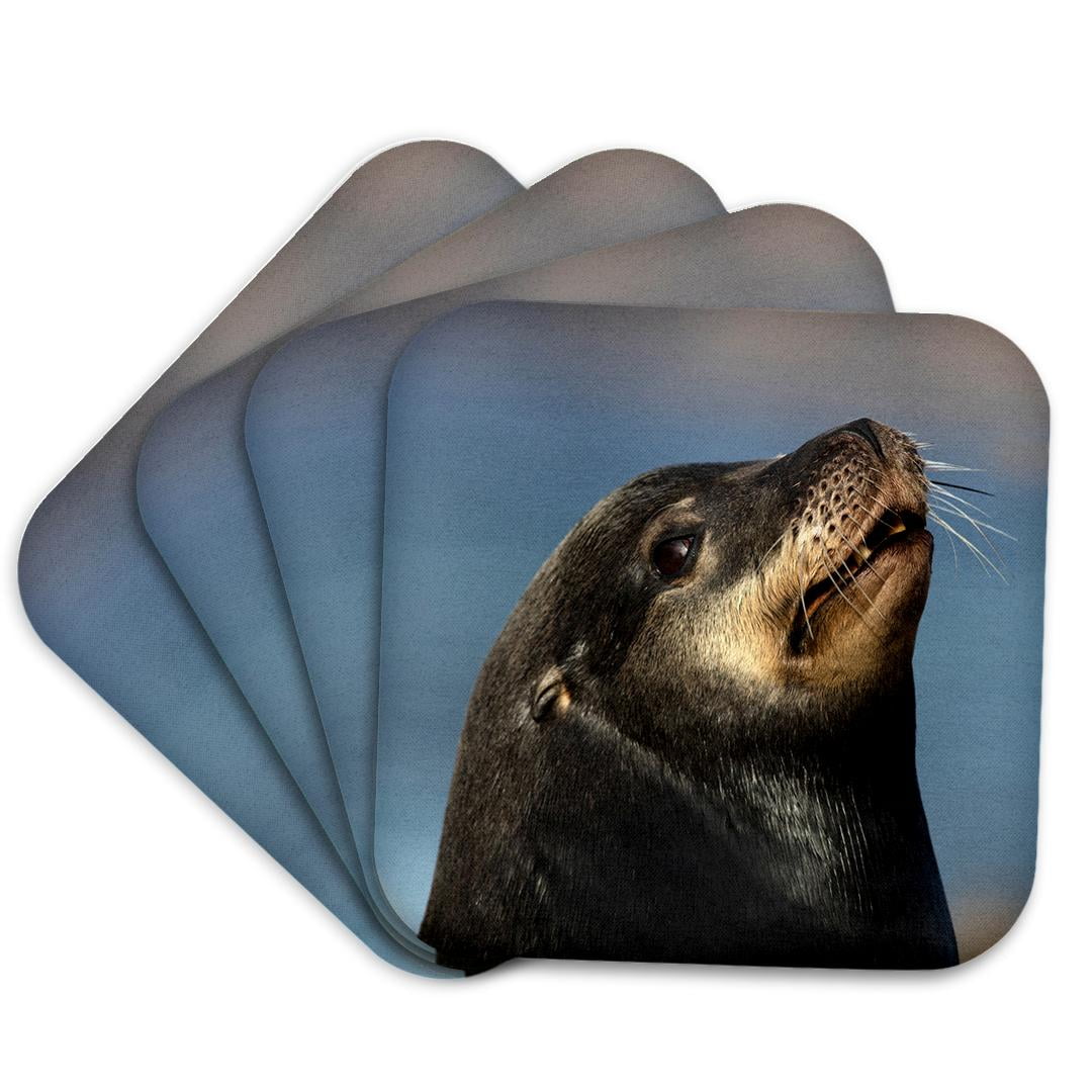 3drose, Usa, California, La Jolla. Portrait of Sea Lion., Set of 4 ...