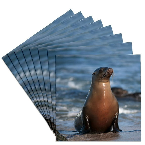 3drose, Usa, California, La Jolla. Sea Lion on Beach., Set of 8 Ceramic ...