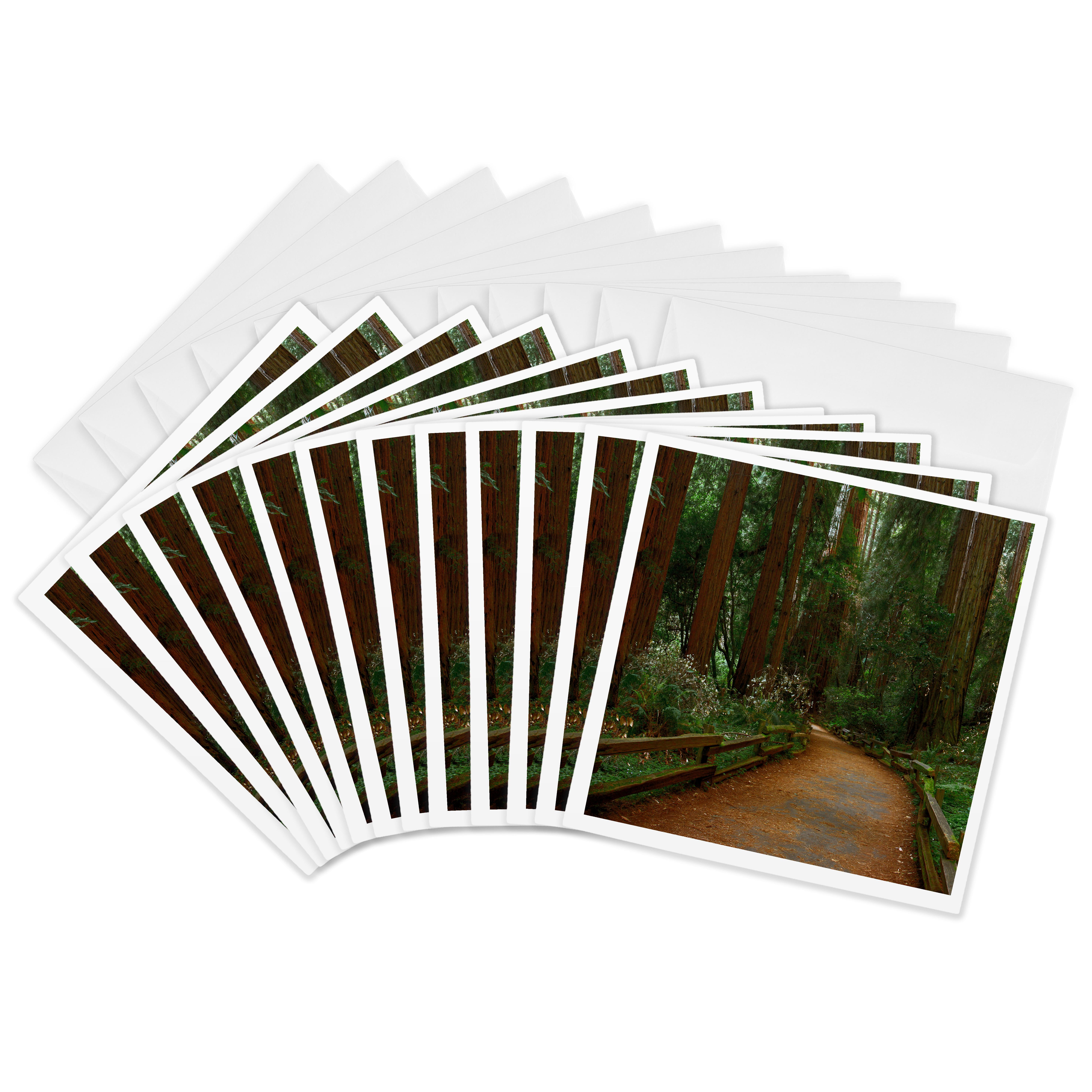 3drose, Usa, California. Path Among Redwoods in Muir Woods Nm., 12 ...