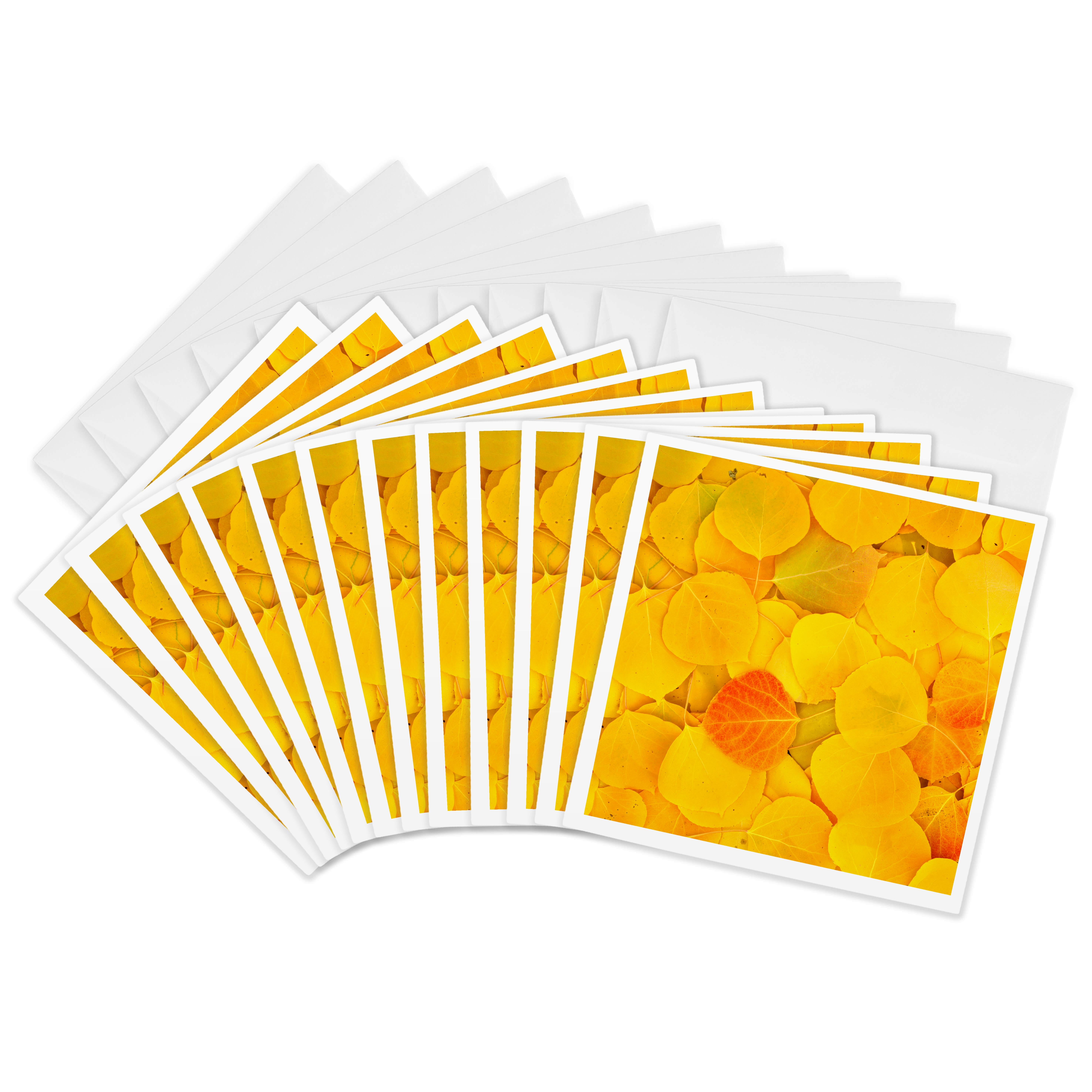 3drose, Usa, California, Sierra Nevada. Fallen Aspen Leaves Close Up ...