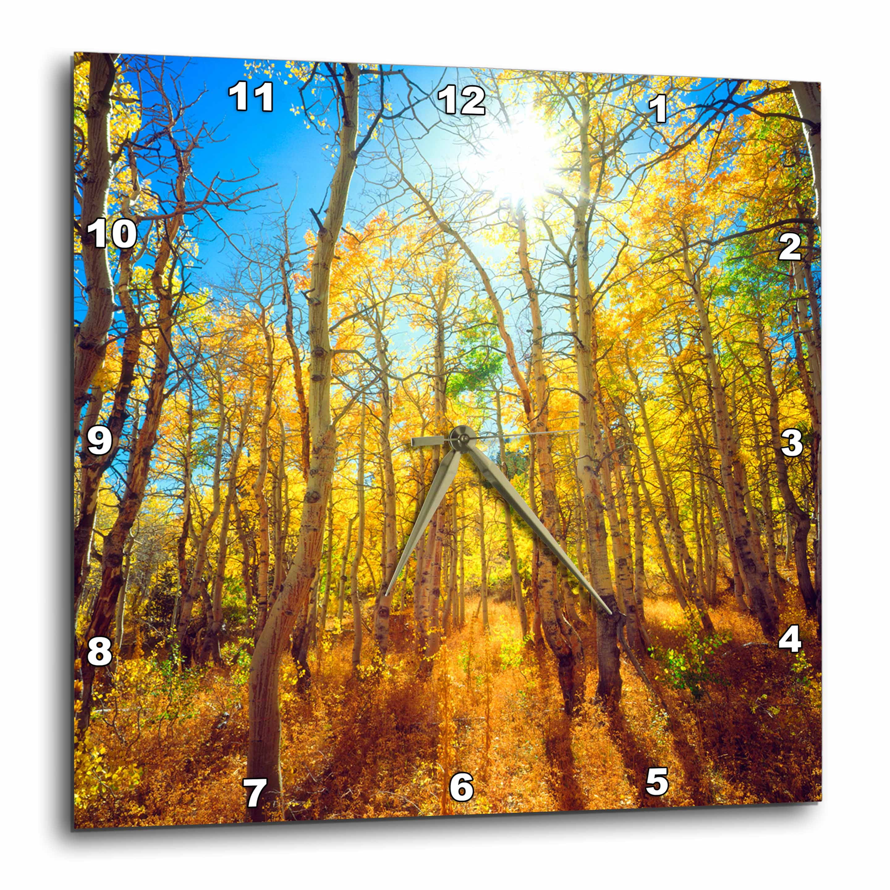3drose, Usa, California, Sierra Nevada Mountains, Fall Colors of Aspen ...