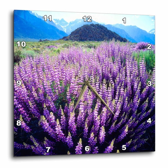 3drose, Usa, California, Sierra Nevada Mountains. Wildflowers Below Mt ...