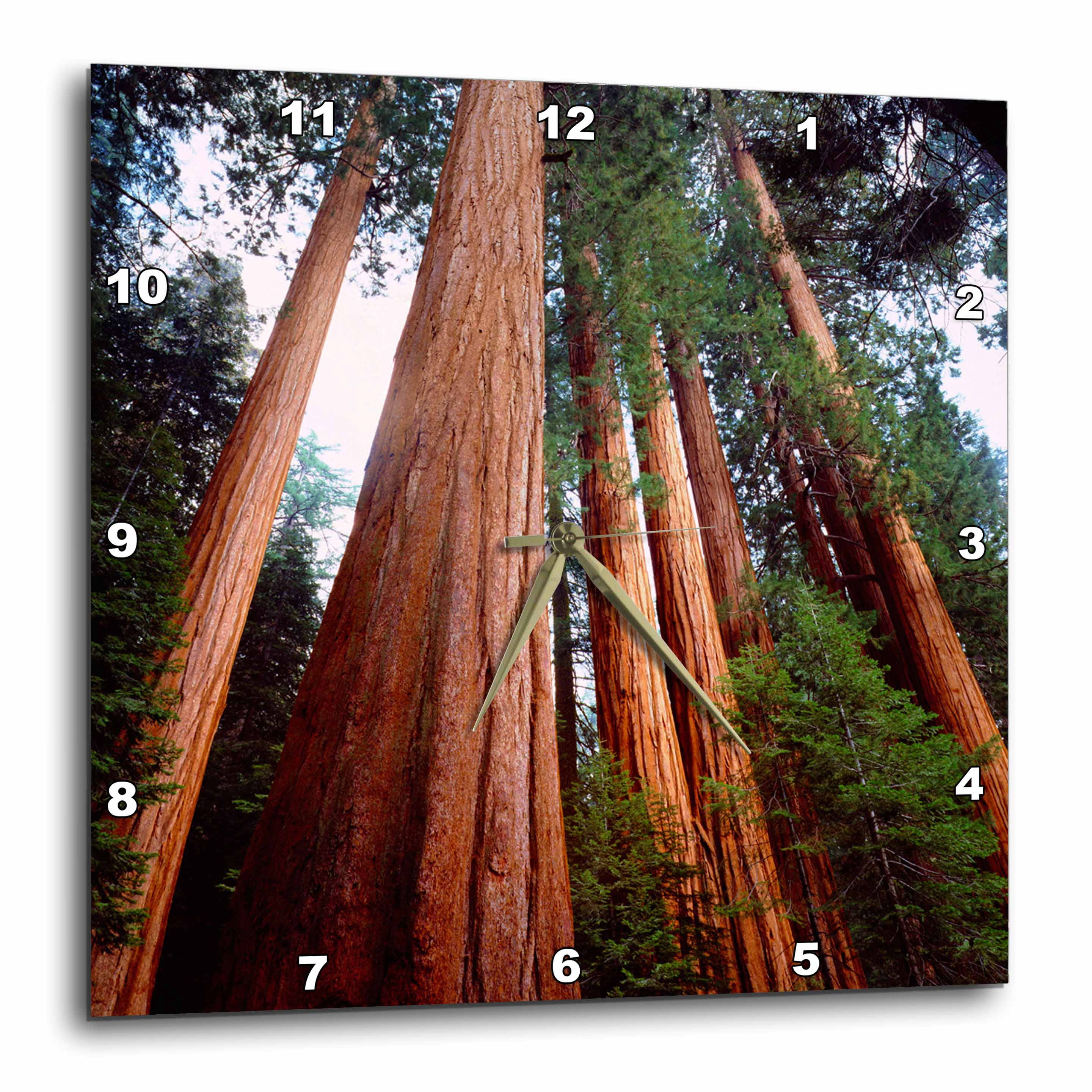 3drose, Usa, California, Sierra Nevada. Sequoia Redwood Trees in the ...