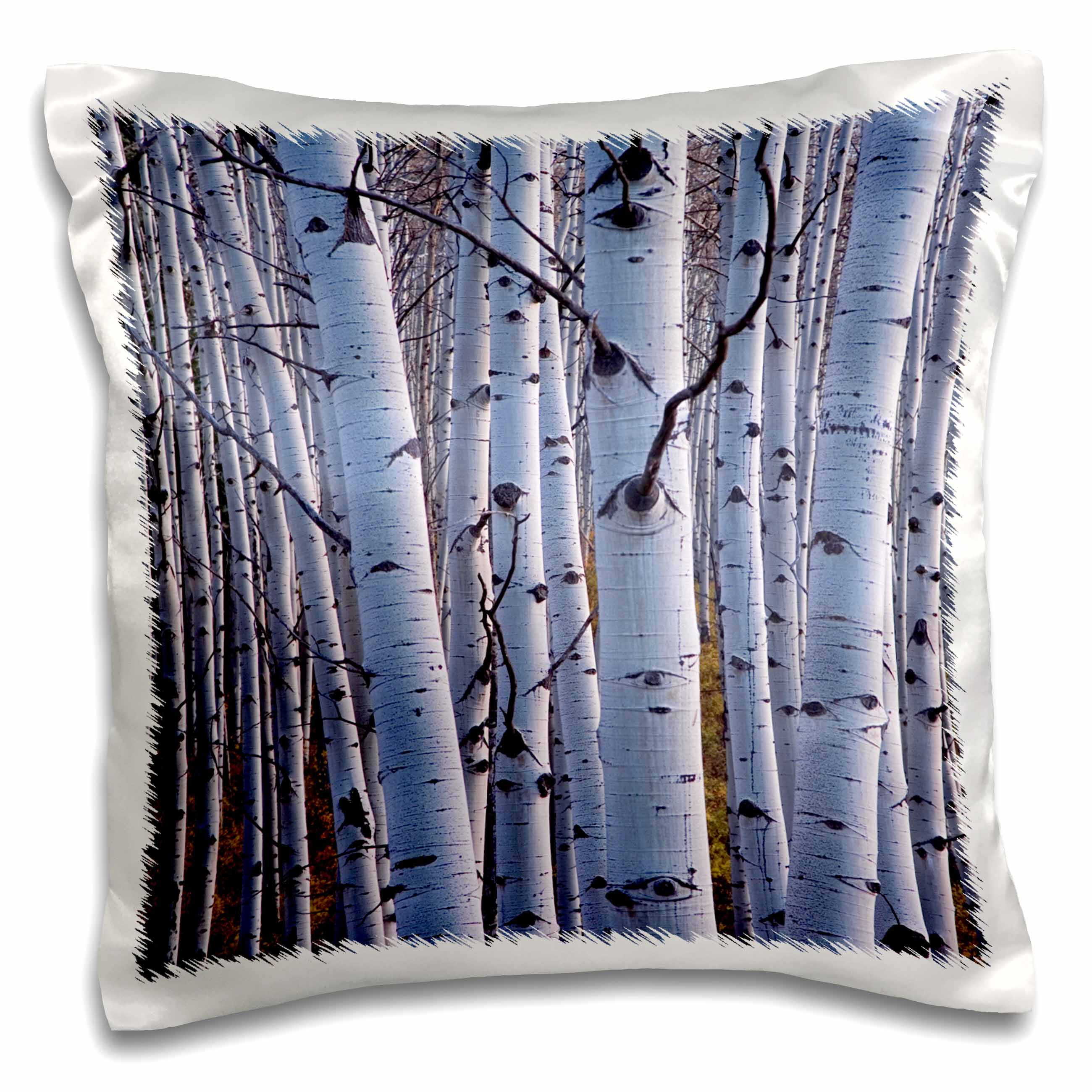 3drose, Usa, Colorado. Aspens in Gunnison National Forest., 16x16 inch ...