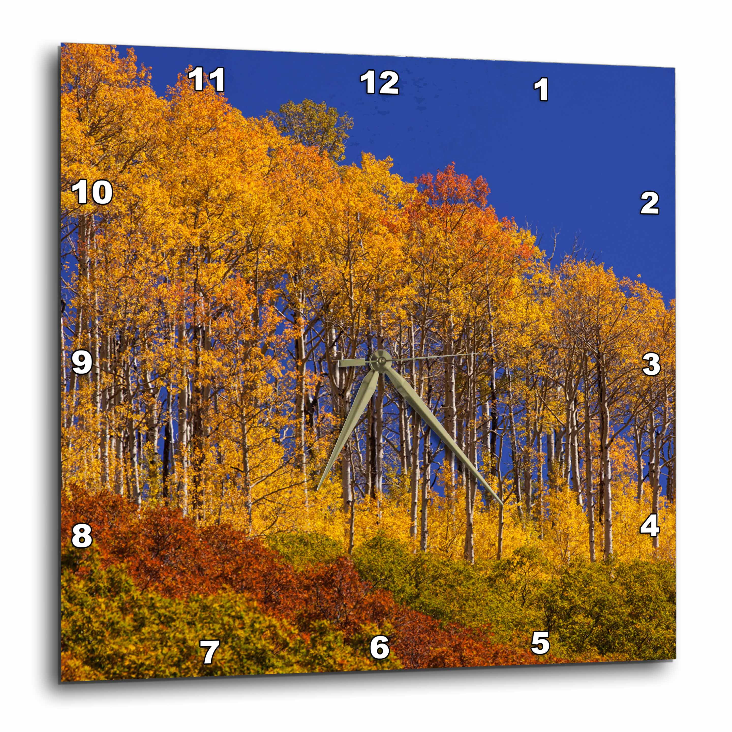 3drose, Usa, Colorado, San Juan National Forest. Aspens in Autumn Color ...
