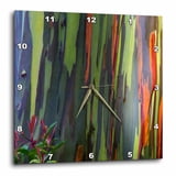 3drose, Usa, Hawaii, Maui, Colorful Rainbow Eucalyptus Tree Bark, 13x13 ...