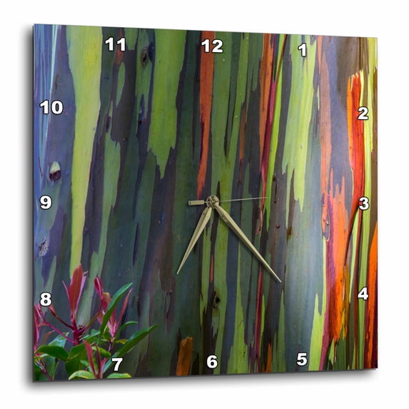 3drose, Usa, Hawaii, Maui, Colorful Rainbow Eucalyptus Tree Bark, 13x13 ...