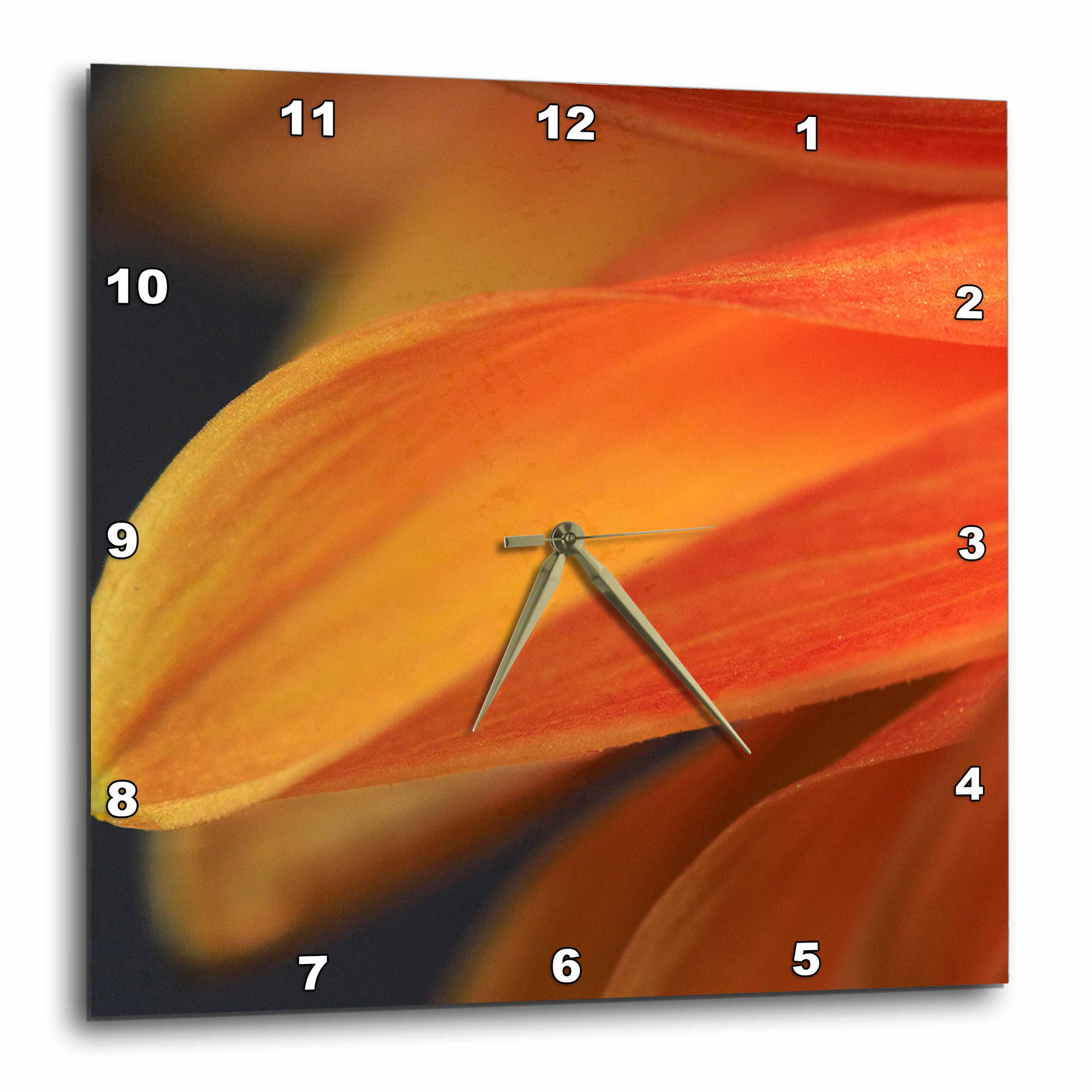 3drose, Usa, Indiana, Carmel. Close-up of Dahlia Flower., 15x15 Wall ...