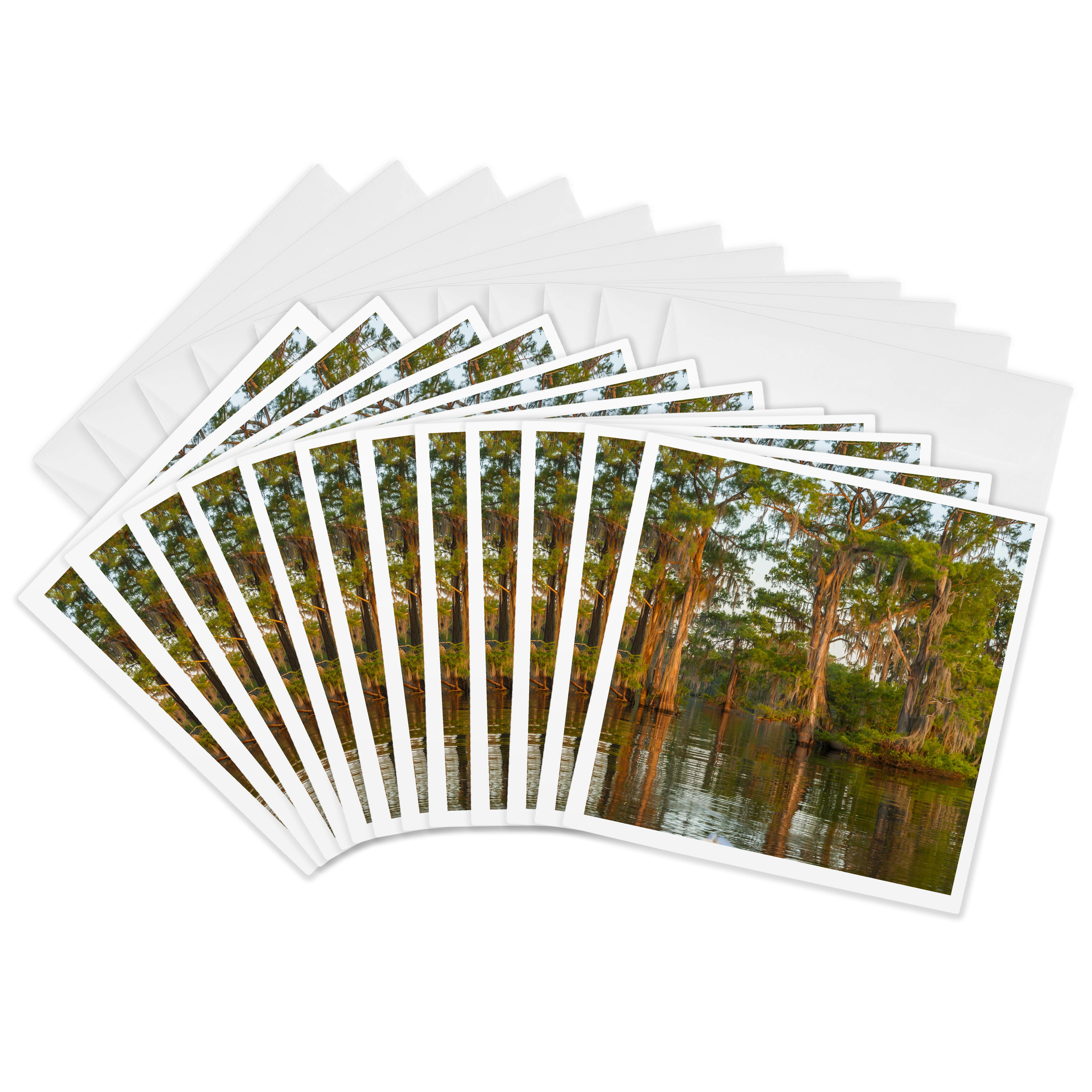 3drose, Usa, Louisiana, Atchafalaya Nwr. Sunrise over Swamp., 12 ...