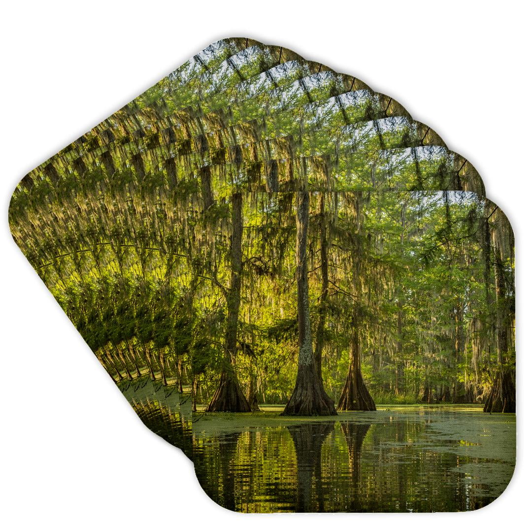3drose, Usa, Louisiana, Lake Martin. Cypress Swamp Forest., Set of 8 ...