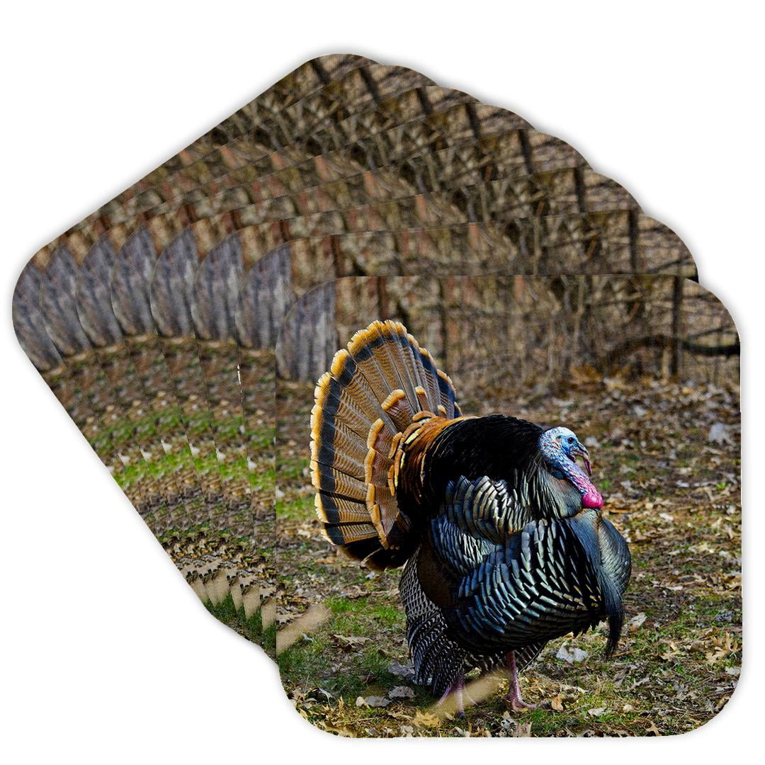3drose, Usa, Minnesota, Mendota Heights, Wild Turkey, Displaying, Set ...