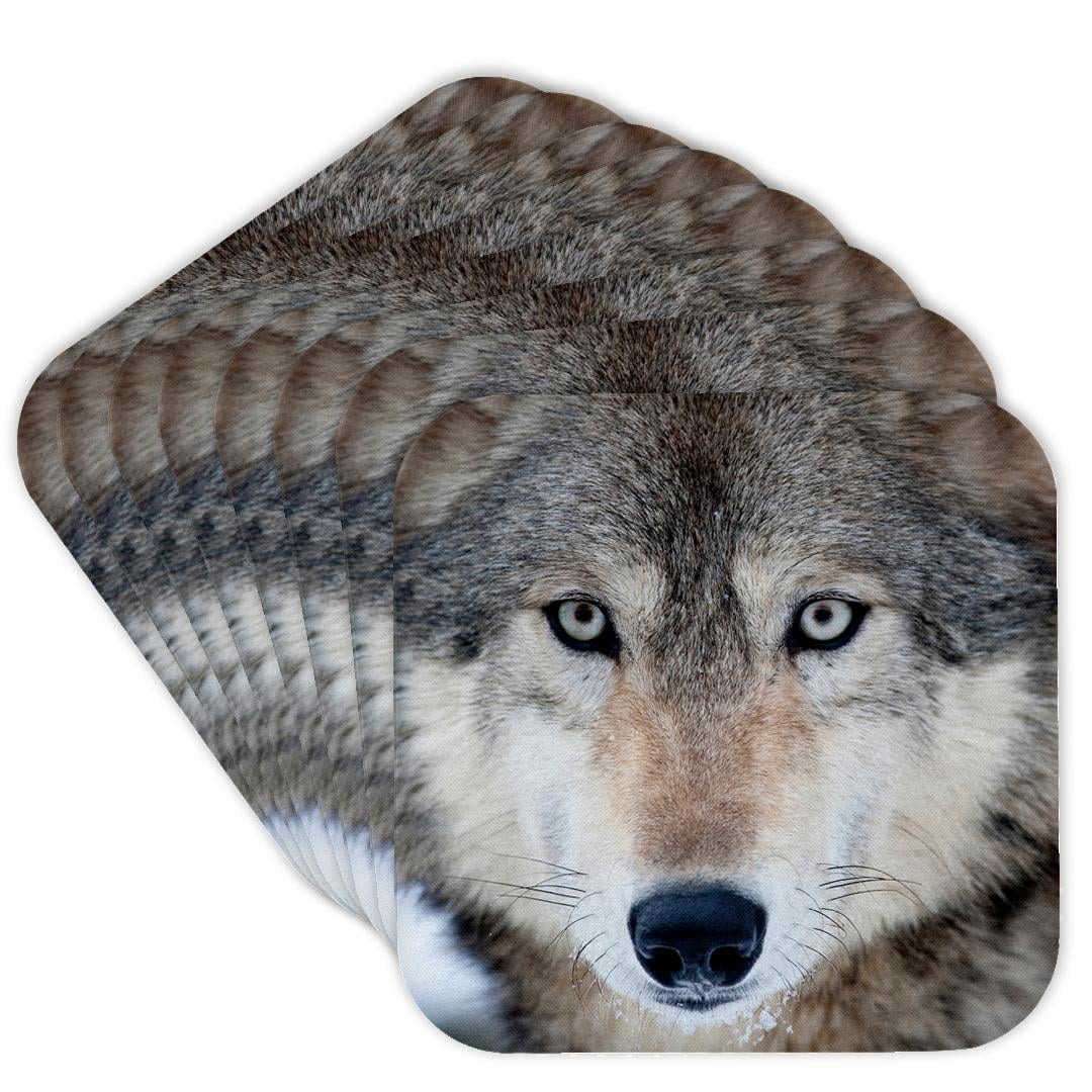 3drose, Usa, Minnesota, Sandstone, Eyes of the Wolf, Set of 8 Coasters ...