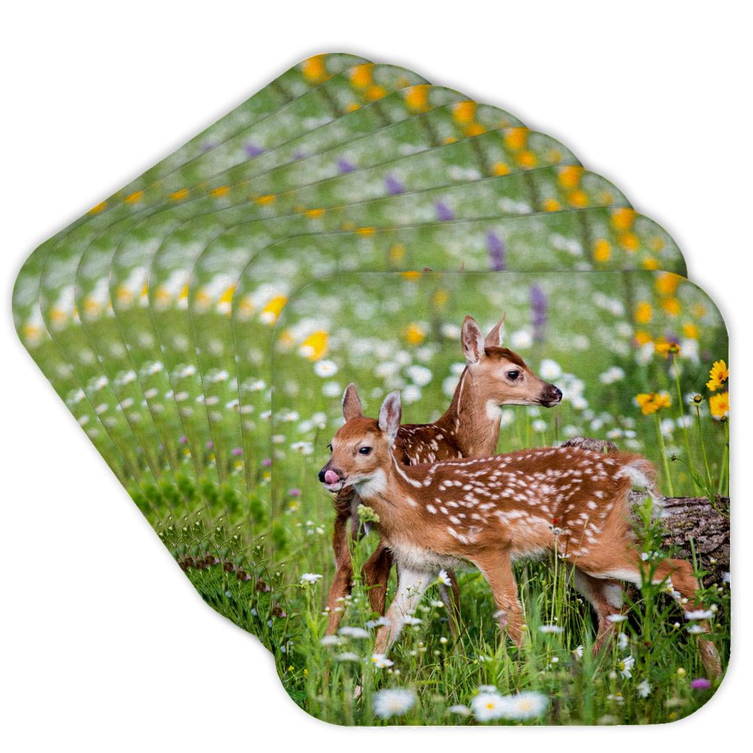 3drose, Usa, Minnesota, Sandstone, Two Fawns Amidst Wildflowers, Set of ...